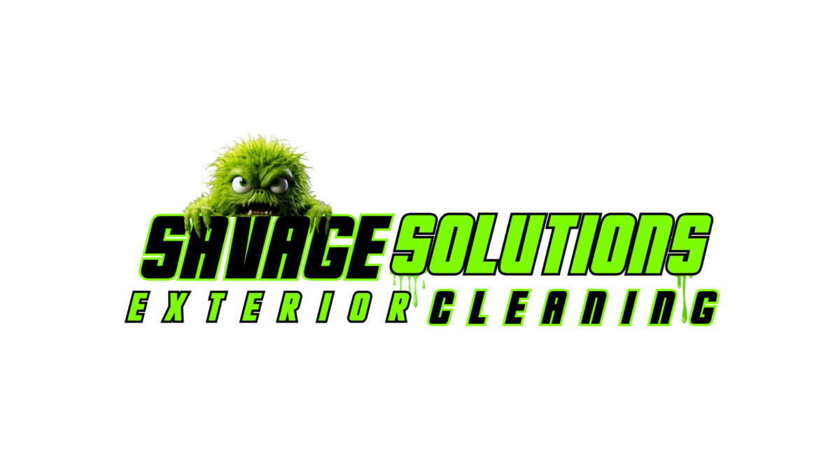 savagesolutionsexteriorcleaning.co.uk
